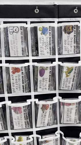 Desk Pet Reward Coupons by Teaching with Mel D | TPT