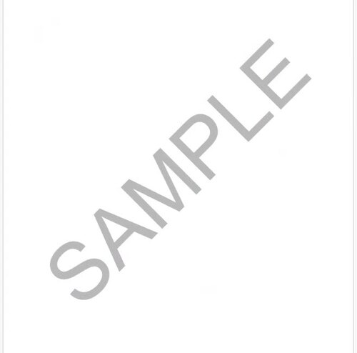 Pride and Prejudice Novel Units® Student Packet Novel Study | TPT