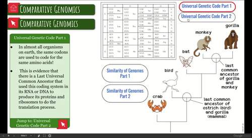 Comparative Genomics Interactive Diagram by Science With Mrs Lau
