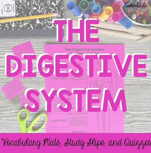 Human Body Systems Word Picture Match Vocabulary Strategies Science ...