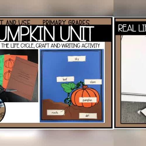 Pumpkin Life Cycle Science Activities | Fall | Autumn by Beachy Dreams