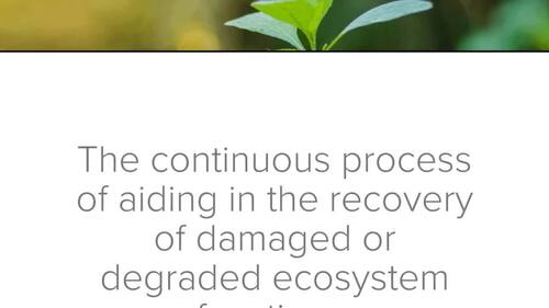 Ecosystem Restoration | Boom™ Learning Cards | Environmental & Earth ...