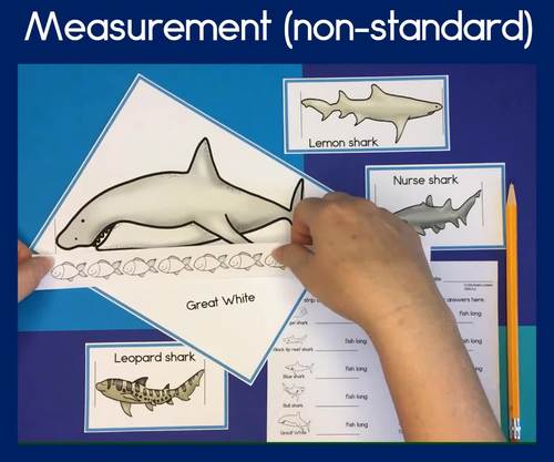 Shark Math 1st grade Non Standard Measurement Graphing Addition and ...