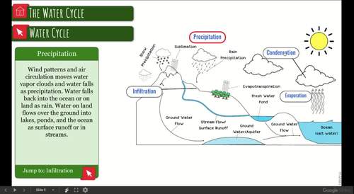 Water Cycle Interactive Diagram by Science With Mrs Lau | TPT