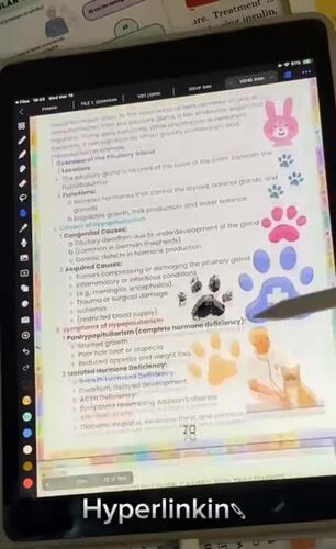 Endocrinology Veterinary Notes, Endocrinology Sheet, Animal Study Guide ...
