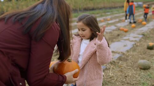 Fall Video Scenes- Language Activity by Speech Language Goodies | TPT