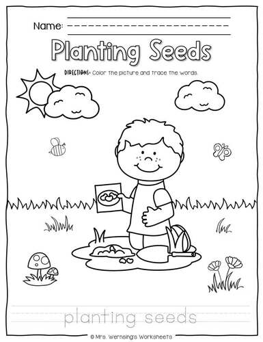 Plants Mini BUNDLE with Assessment - KINDER SCIENCE by Mrs Wernsings ...