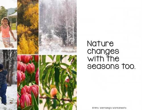 The Four Seasons - Projectable Read-Aloud Lesson - KINDER SCIENCE