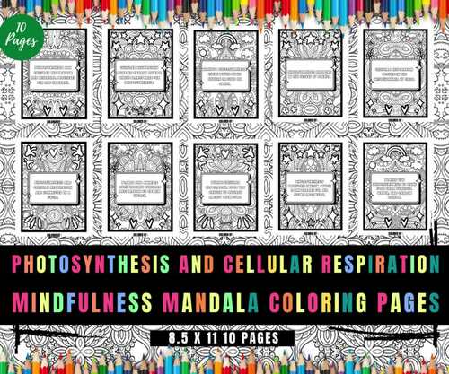 Photosynthesis And Cellular Respiration, Facts Saying Mandala Coloring ...