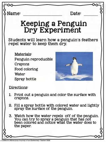 Penguin Bundle Writing STEM by TCHR Two Point 0 | TPT