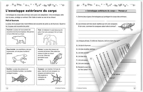 Daily Science Grade 2 (French Version) by Chalkboard Publishing | TPT