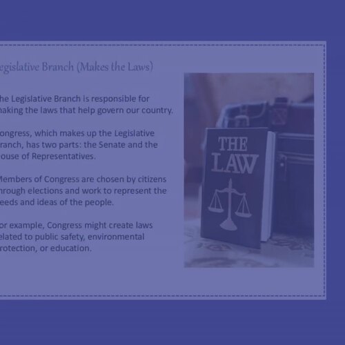 Three Branches of Government PowerPoint Presentation & Graphic Organizer