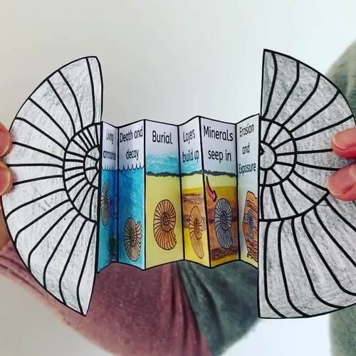 Fossil folding craft activity by Wonder at the World | TpT