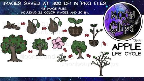 Apple Life Cycle Clip Art Set and Plant Diagram Clip Art ~Moonbound Clips~