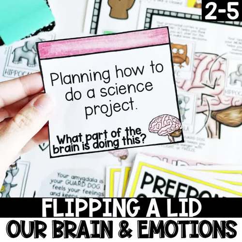 Flipping a Lid: Social Emotional Learning Activities Upstairs ...