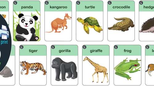 ENGLISH Animals vocabulary flashcards, With 50 Names And Images. (6x9cm)