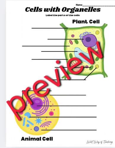 Photosynthesis & Cells Introduction Unit by West Way of Thinking