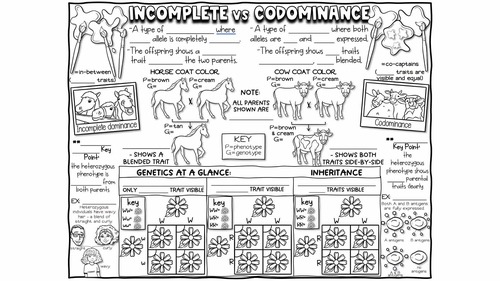 Incomplete vs Codominance Doodle Notes & Quiz | Non-Mendelian Genetics ...