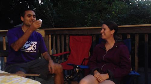 Physics: Gravity and Free Fall Inquiry Lab by Physics Burns | TPT