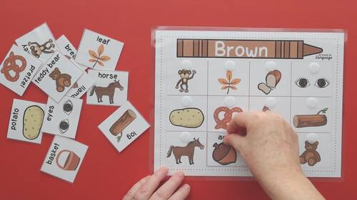 Brown Object Matching Activity, Match and Label, Adjective-Noun Phrases