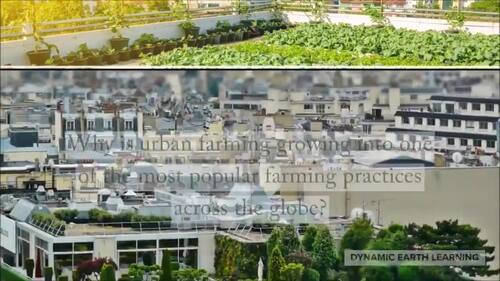 Urban Farming | Boom™ Learning Cards | Environmental & Earth Science Lesson