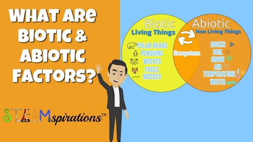 Ecosystems | What are Biotic & Abiotic Factors? by STEAMspirations