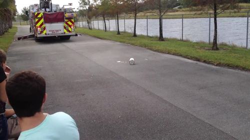 STEM Activity: DROP IT! Egg Drop Challenge Project Based Learning