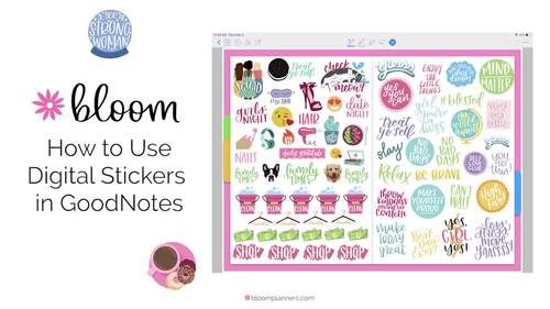 256 Digital Holiday Clip Art - Sticker PNGs and GoodNotes Booklet