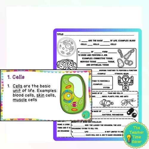 Cells Levels of Organization Notes - Coloring and Slides - Tissues Organism