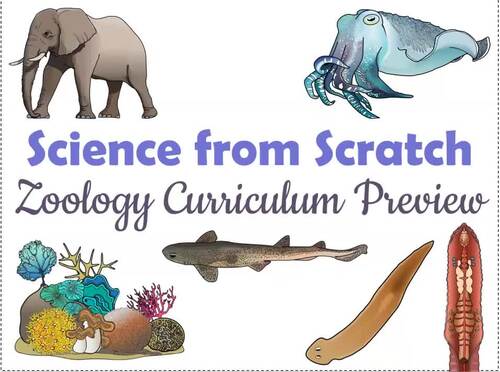 Zoology Curriculum | Complete Course Bundle | PPT Slides, Notes, Labs ...