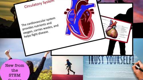 Cardiovascular System - Health Class - Powerpoint by The STEM Center