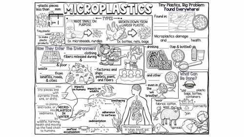 Microplastics Doodle Notes & Quiz | Ecosystem Pollution NGSS Differentiated