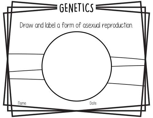Genetics Exit Tickets | Science Exit Slip | Warm-Up | Doodle Assessments