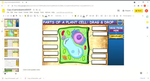 Parts Of A Plant Cell: Drag & Drop Worksheet: Google Slides.Distance ...