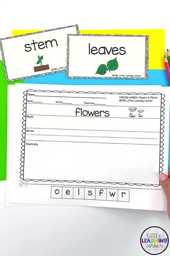 Making Words FLOWERS and PLANTS ~ Writing and Vocabulary Cards | Cut ...