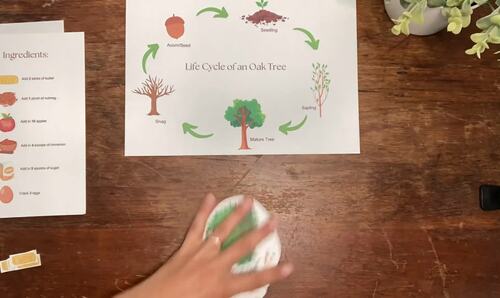 Fall Lesson Plans for Kindergarten with Book Companion Activities and ...