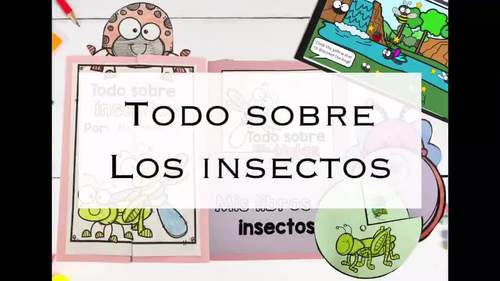 Insectos: Ciclo de vida | Insects in Spanish | Bichos Lap book | Spring