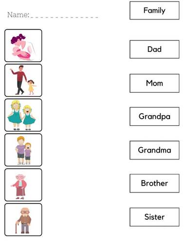 Functional Vocabulary Match: Simple Colors/ Shapes/ Family/ Holidays