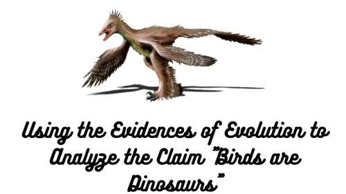 Dinosaur to Bird Evolution Lab, Readings Middle School Science | TPT