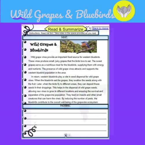 Fauna & Flora: Symbiotic Relationships Wild Grape & Bluebirds, 5th/6th ...