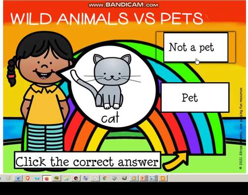 pet or wild BOOM animal game by Murphys lesson design studio | TPT