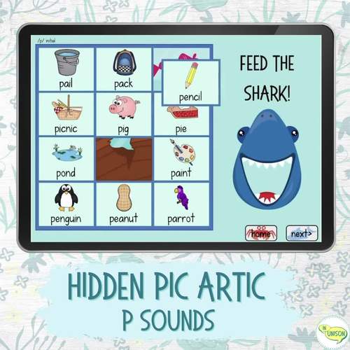 Hidden Pictures Articulation Boom Cards™ P Sounds by In Unison Speech ...