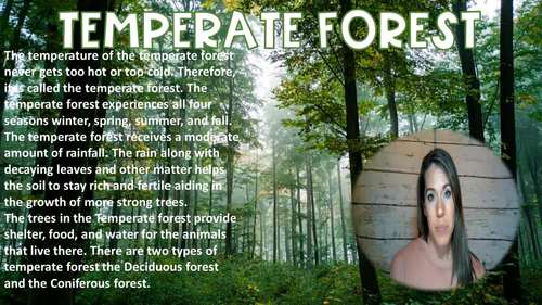 Distance Learning Temperate Forest Habitat Lesson for SeeSaw | TpT