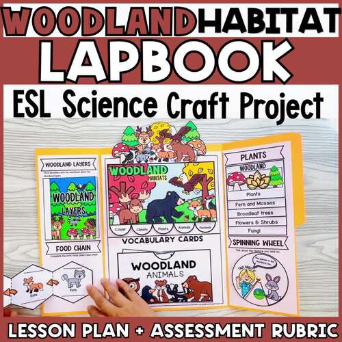 All about Woodland Habitat Lapbook-ESL-Informational Writing Craft-2nd ...