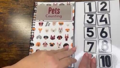 Pets Counting Adapted Book with Real Pictures / Pet Counting Adaptive Book