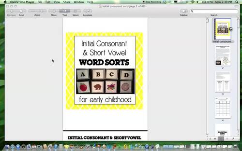 Initial Consonant and Short Vowel Sorting Activities by The Autism Helper