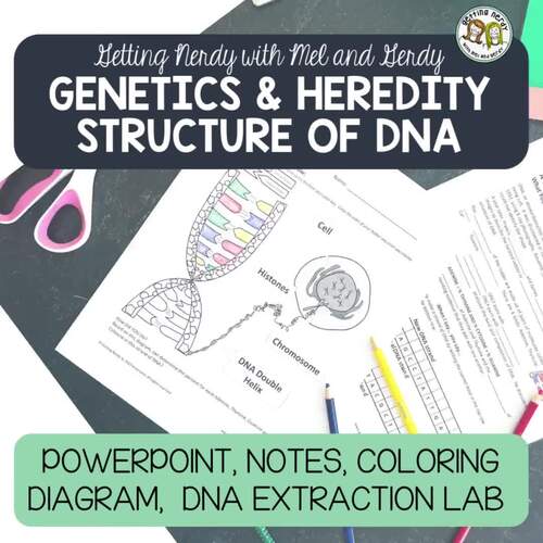 Genetics | DNA History | Structure & Function | Notes & DNA Extraction Lab