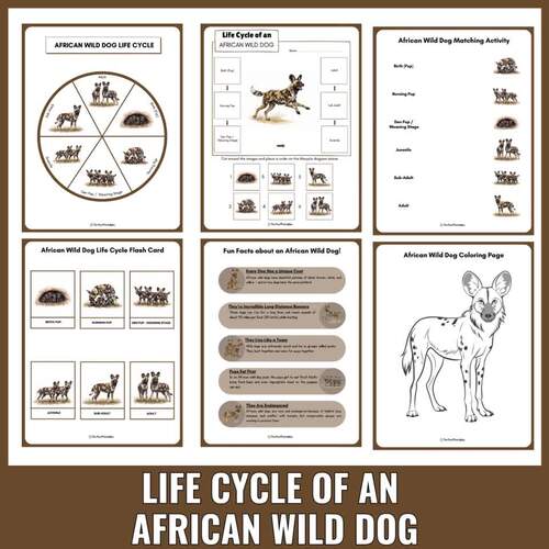 African Wild Dog Life Cycle: African Animal Science Unit Study & Fun Facts