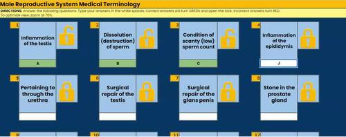 Male Reproductive System Medical Terminology Lock Activity | TPT
