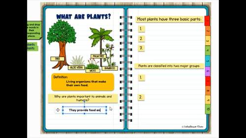 Parts of a Plant Digital Notebook by Latinflower Lessons | TPT